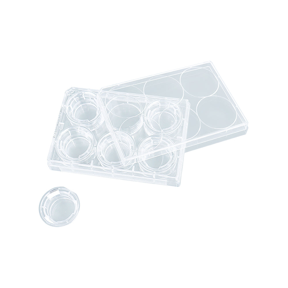 Tissue Culture Plate Inserts, 1.0 μm, Membrane diameter24mm,6well,PET